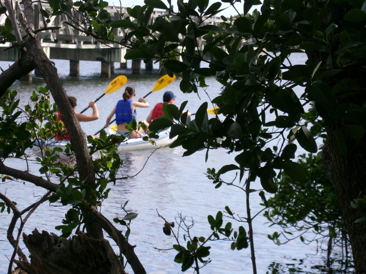 Munyon Island: Fine kayak trail at John D. MacArthur State Beach Park