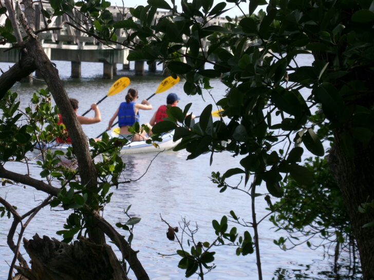 Munyon Island: Fine kayak trail at John D. MacArthur State Beach Park