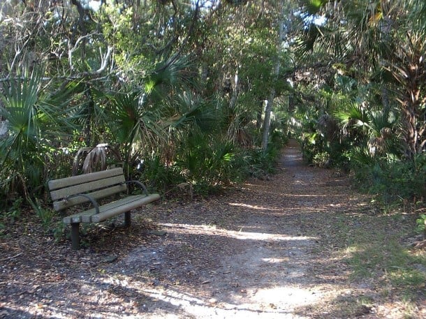 Castle Windy Trail at Canaveral National Seashore