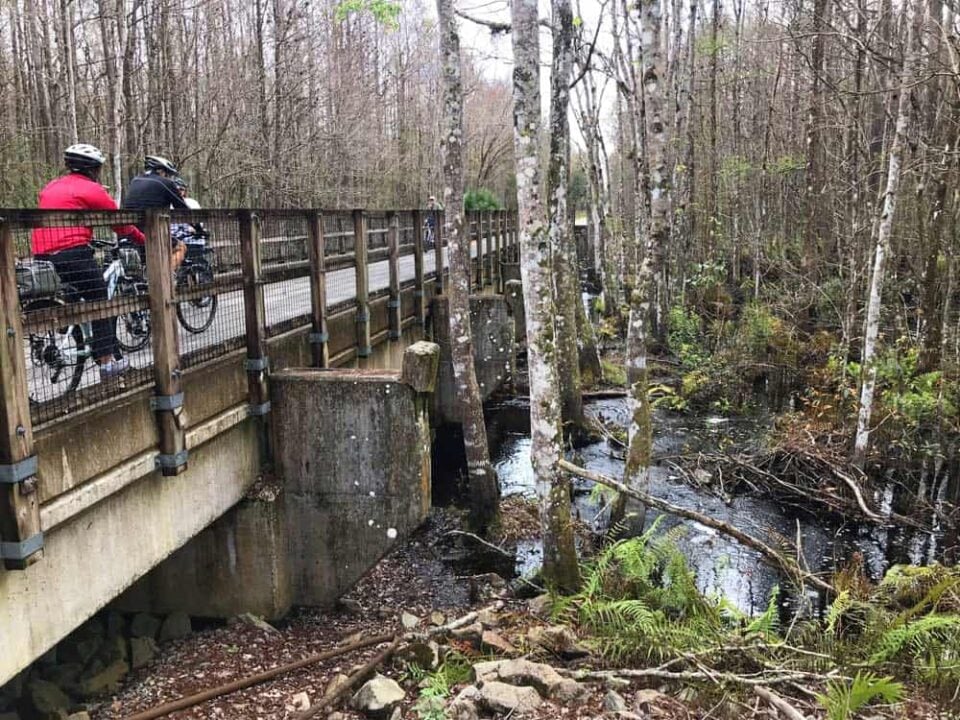 Van Fleet Trail: 29 miles of beauty by bike near Orlando