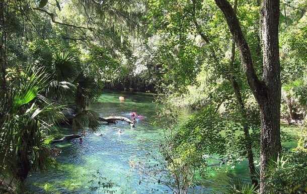 Blue Spring State Park: Manatees & natural beauty