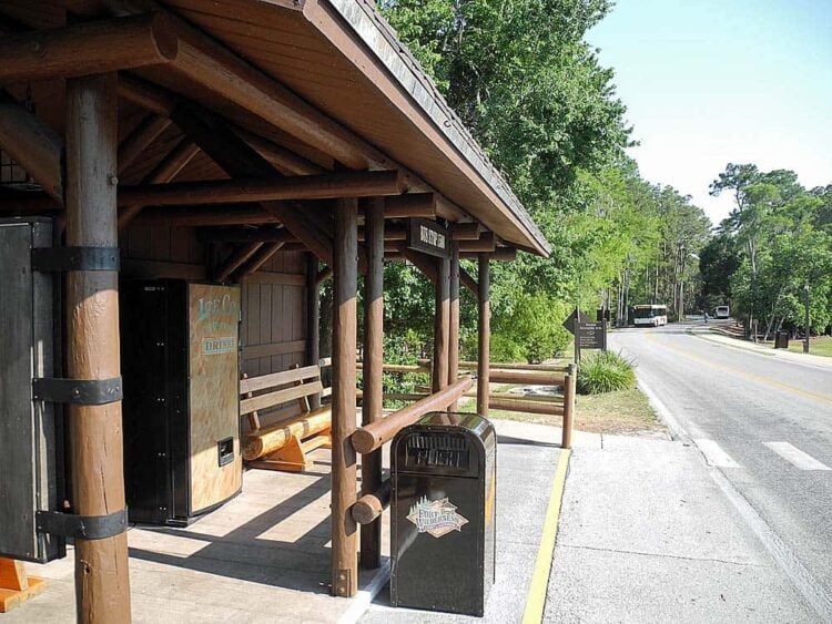 Fort Wilderness: Camping in the magical woods of Disney