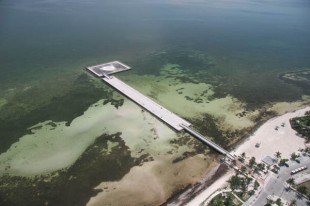 10 free things to do in Key West: Fun but budget friendly