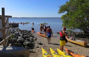 Kayaking Ten Thousand Islands: Sandfly Island, ideal 'intro' kayak trail