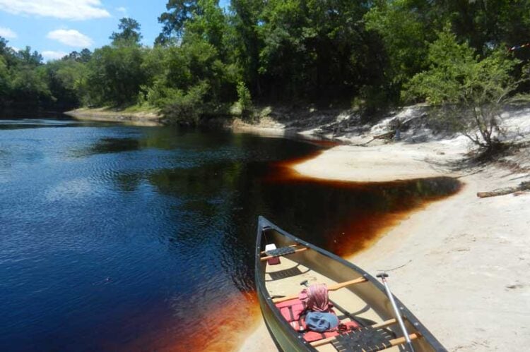 Kayak the Suwannee River at White Springs for historic, scenic stretch