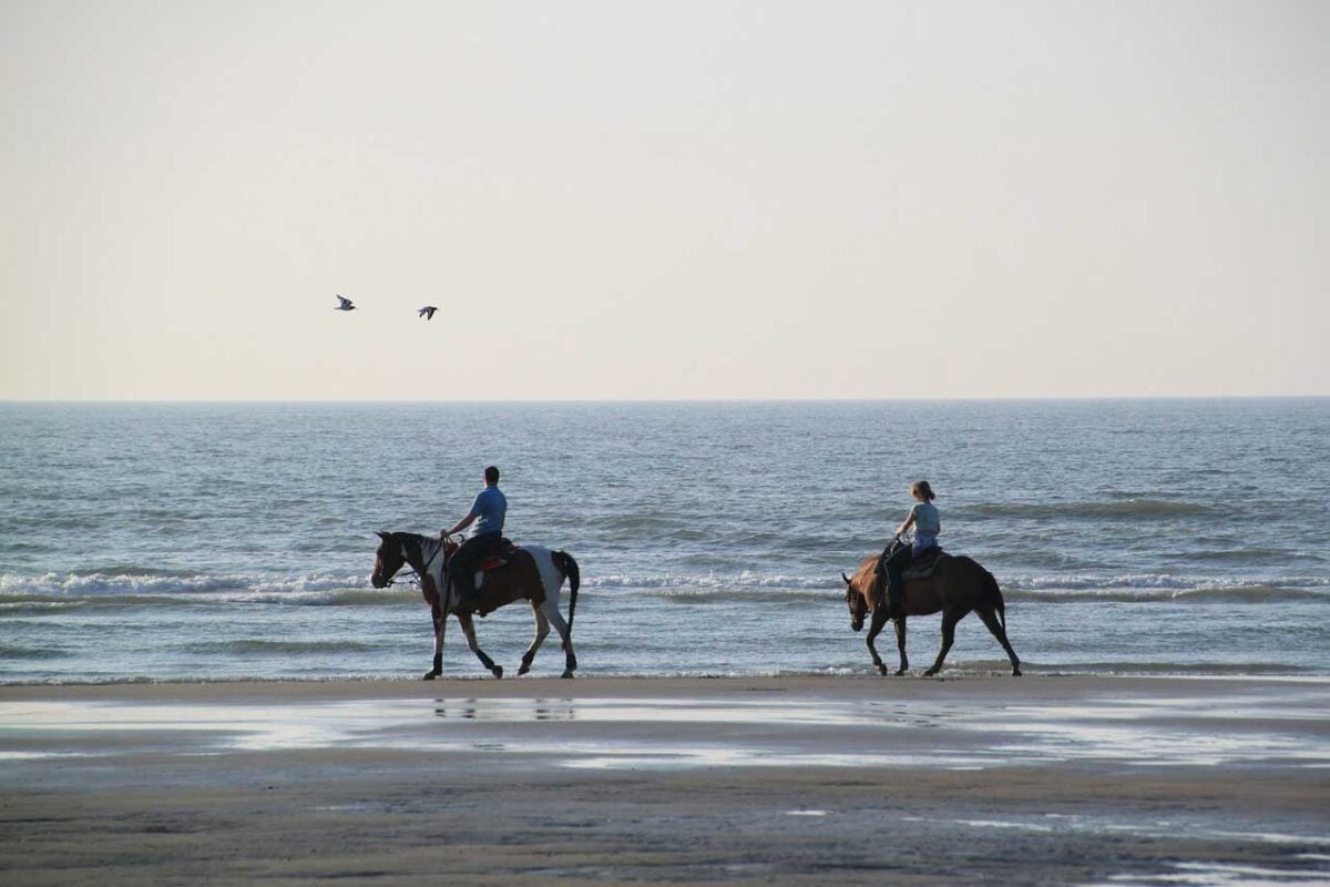 Horseback riding on the beach in Florida: 6 excellent spots