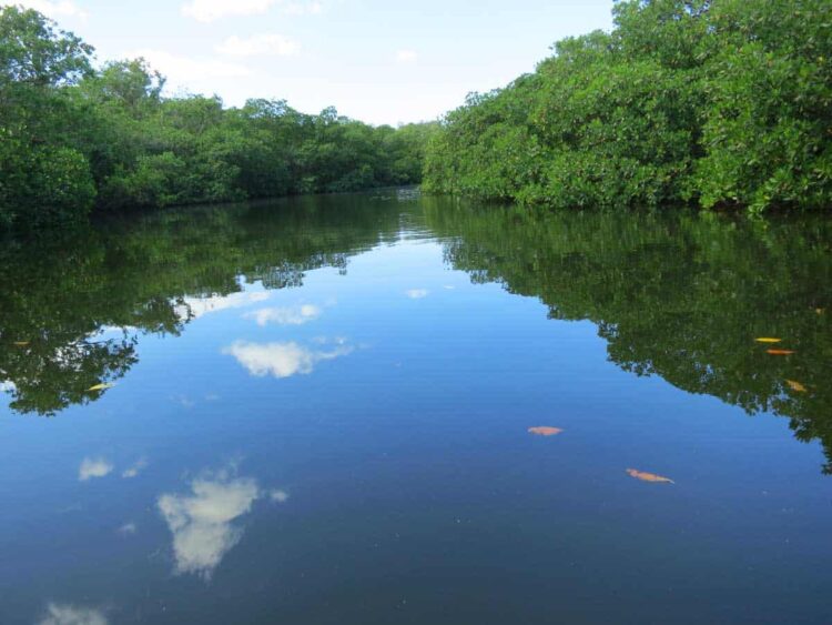 Delnor-Wiggins Pass State Park, Naples, is a Top 10 beach