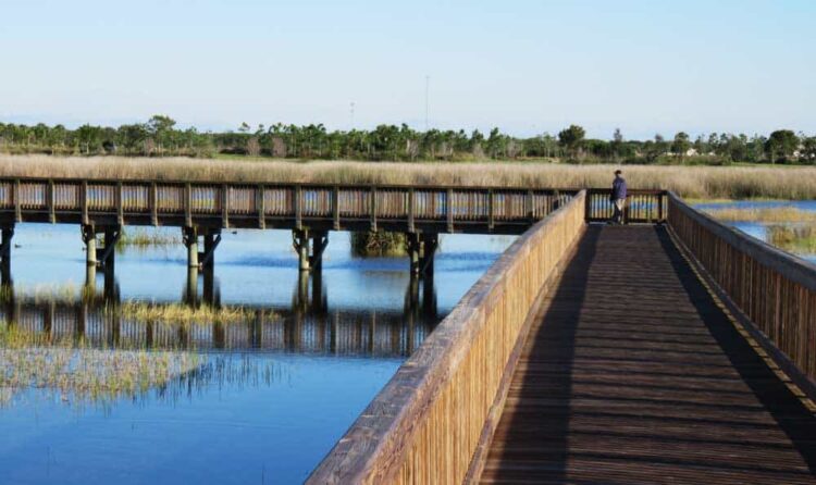 Peaceful Waters Sanctuary, Wellington: Top birding spot