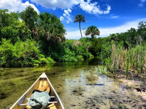 Juniper Springs: Florida's most pristine spring by kayak