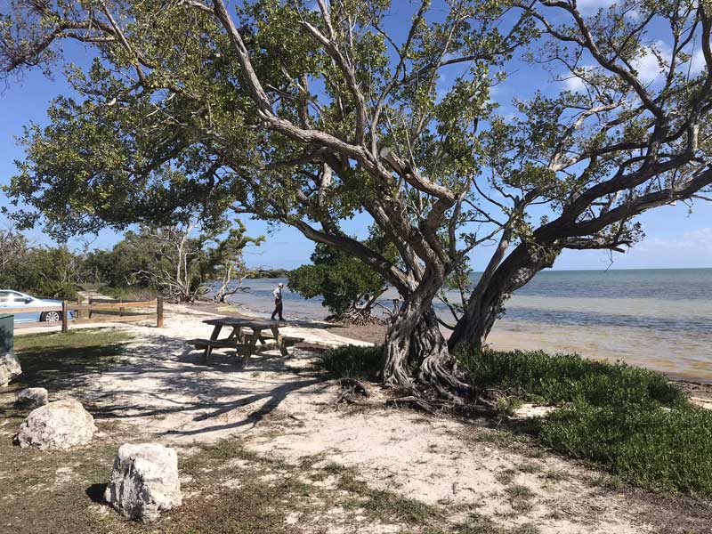 Long Key State Park: Natural uncrowded Florida Keys