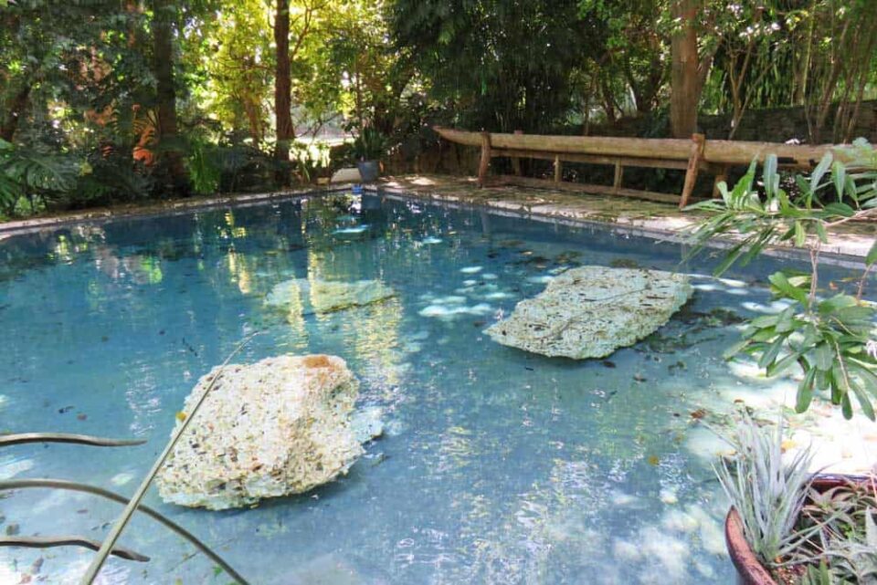 The Kampong: 2 things that make this Miami garden so special