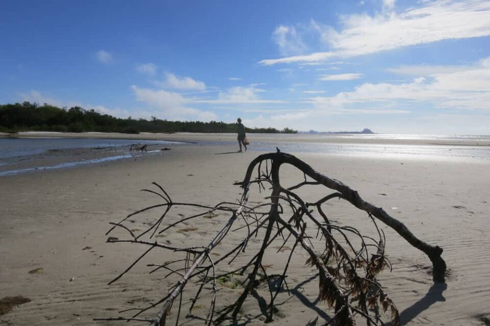 Fort Myers Bunche Beach: Heaven for kayakers, birders