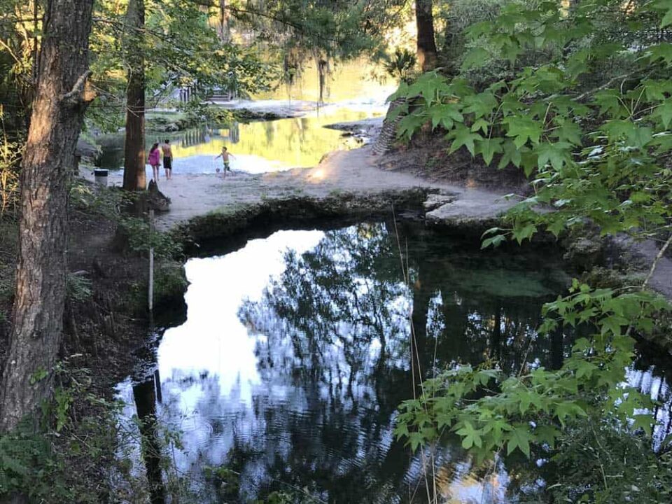 Lafayette Blue Springs State Park: Magical springs on Suwannee River
