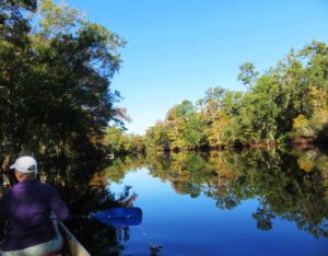 Withlacoochee River is a gorgeous Florida kayaking trail