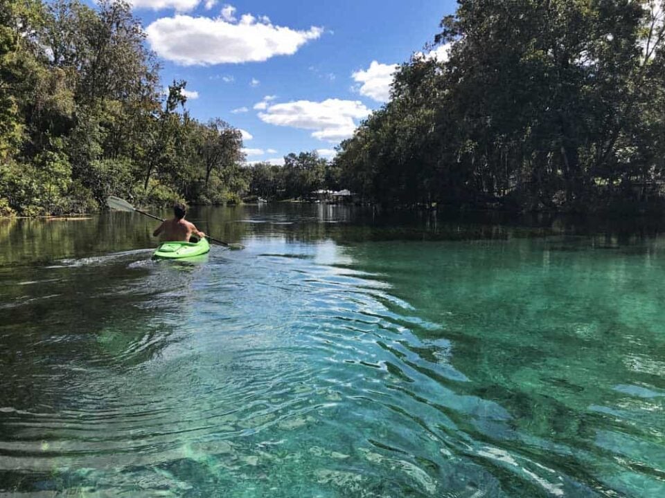 Rainbow River: So clear; it's like tubing in an aquarium