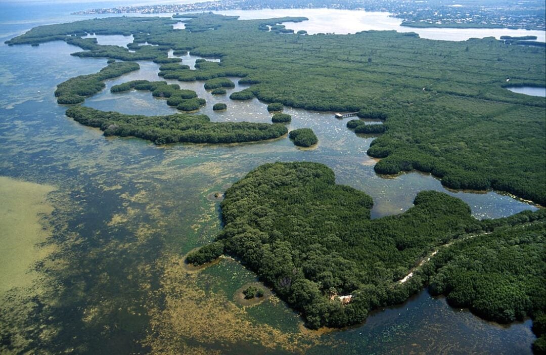 Paddleboarding Tampa Bay area: 5 awesome destinations