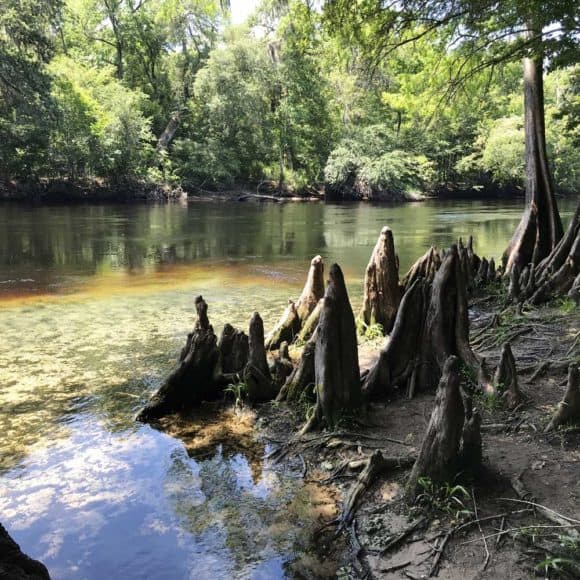 Kayaking Santa Fe River: Splendid springs & scenery