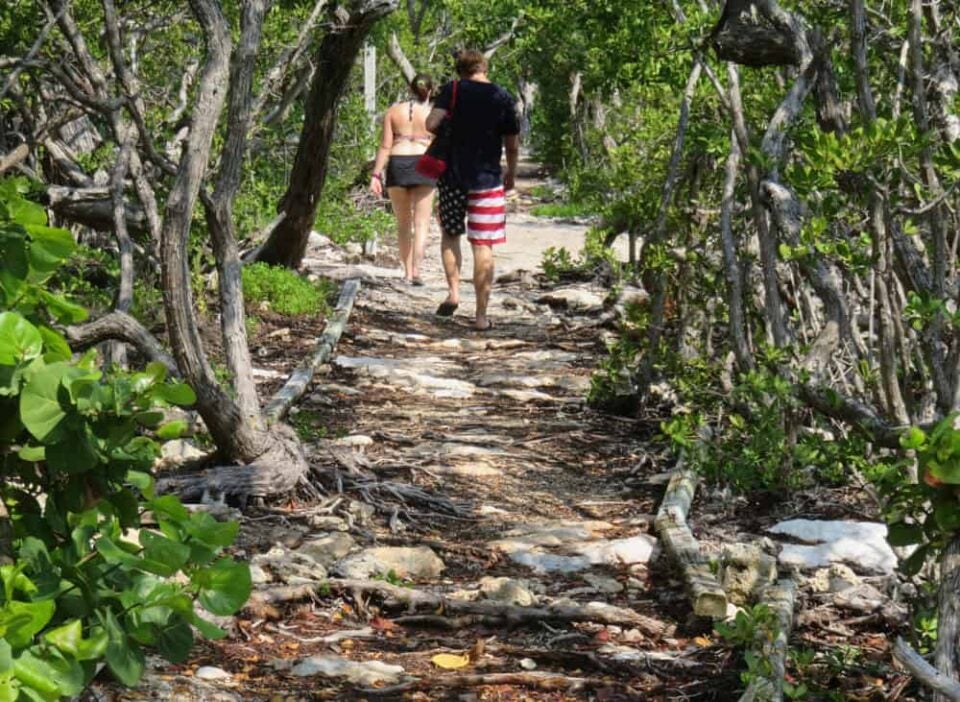 Indian Key Historic State Park: Kayak to enchanting Keys isle