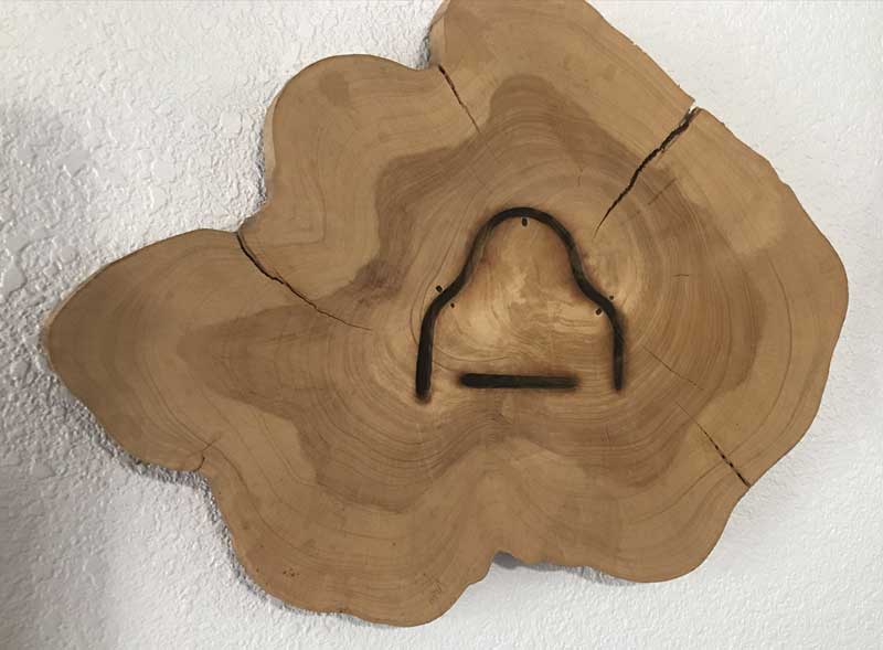 Deseret Ranches: A huge Florida cattle ranch