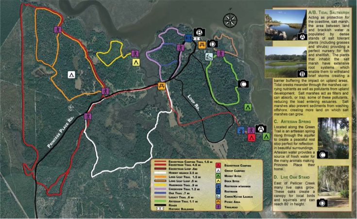 Princess Place Preserve: 6 reasons to explore a hidden gem
