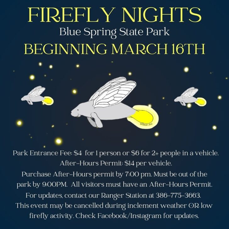 Fireflies in Florida: How to see ''spectacular lightshow"
