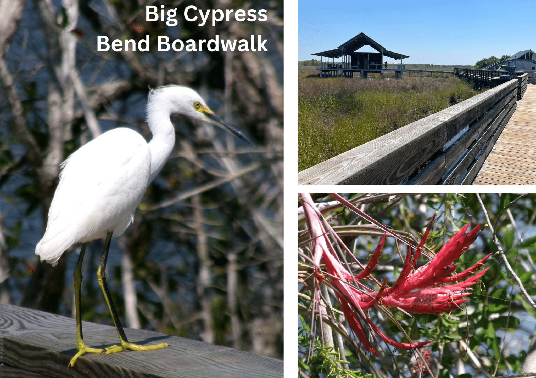 18 best boardwalks in Florida, with easy access for all
