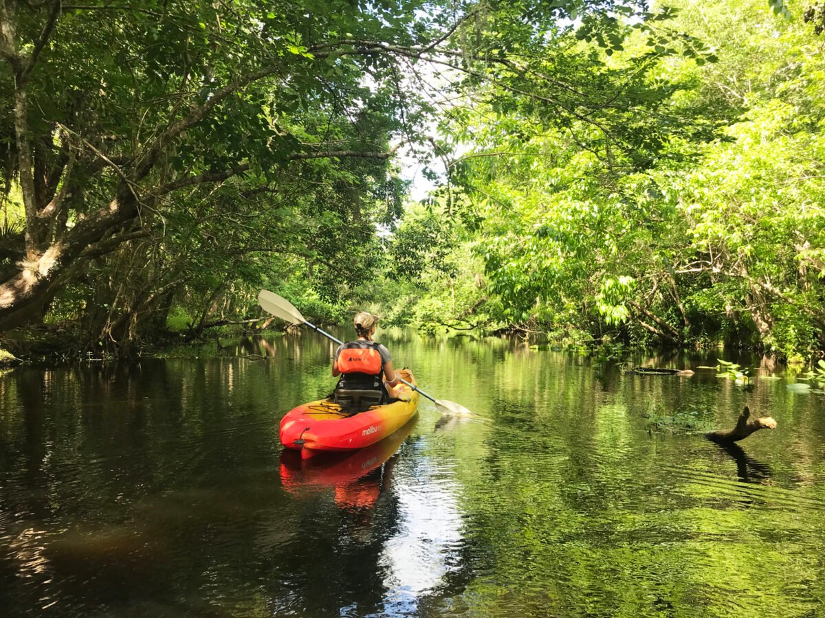 Blue Spring State Park: Manatees & natural beauty