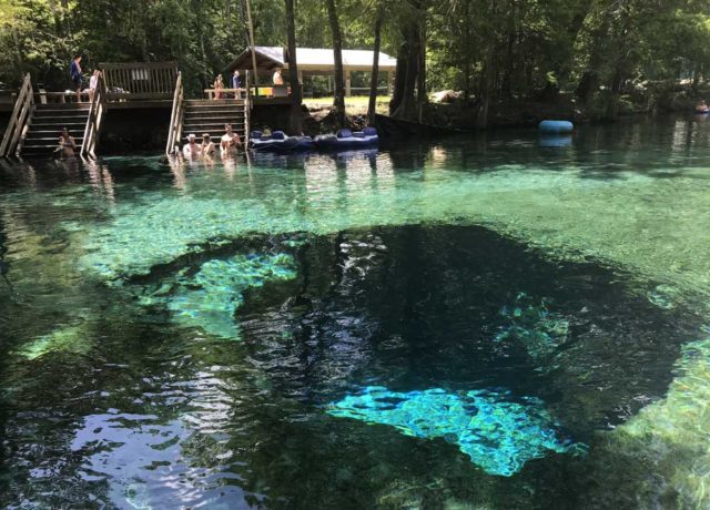 Kayaking Santa Fe River: Splendid springs & scenery