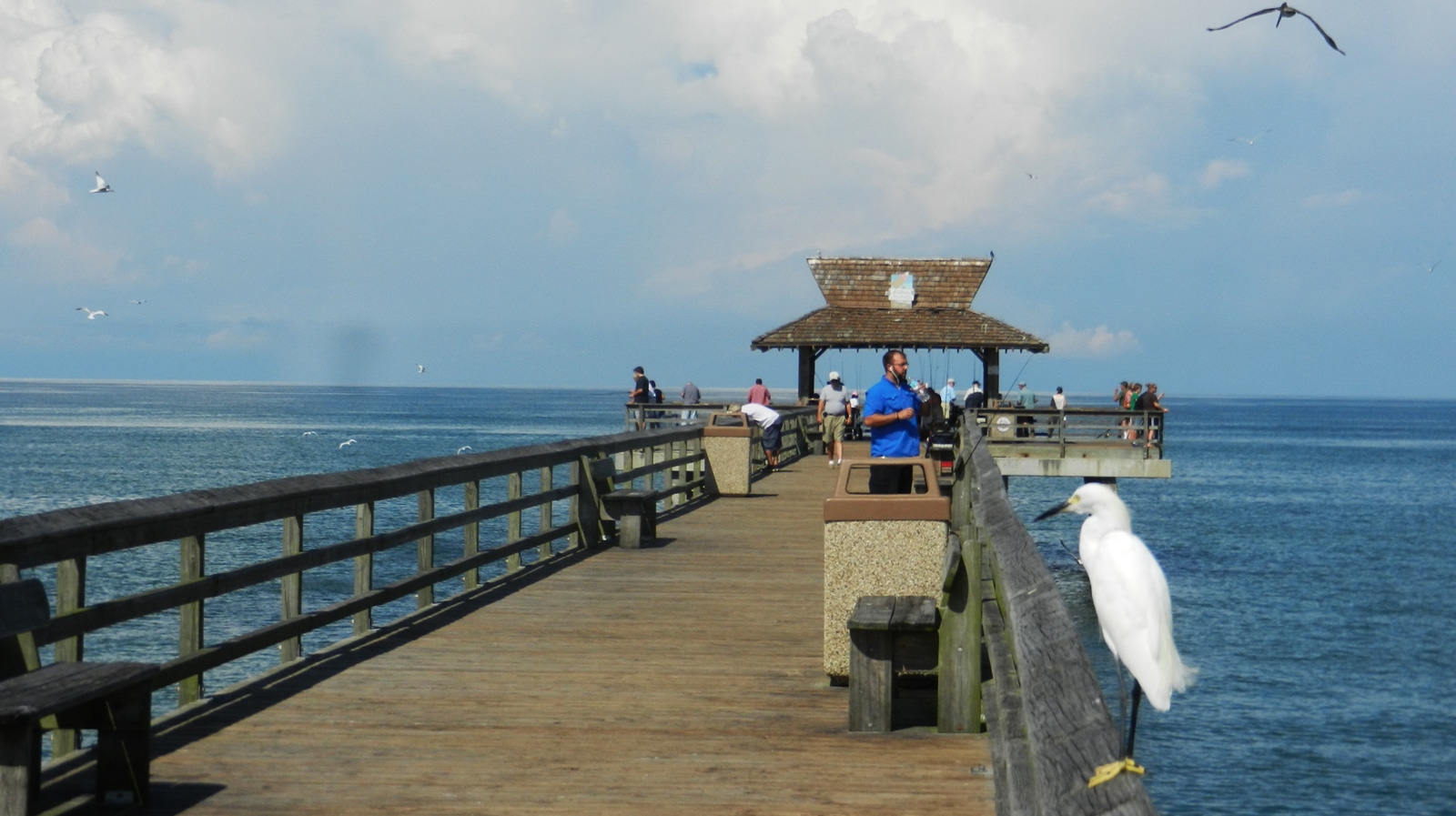 Can Dogs Go On Naples Pier