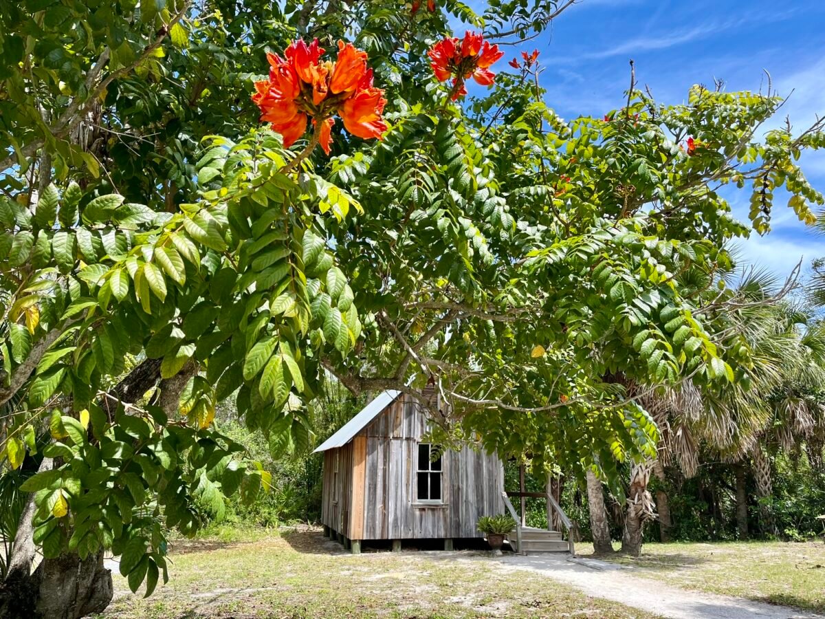 Koreshan State Park preserves wacky Florida history