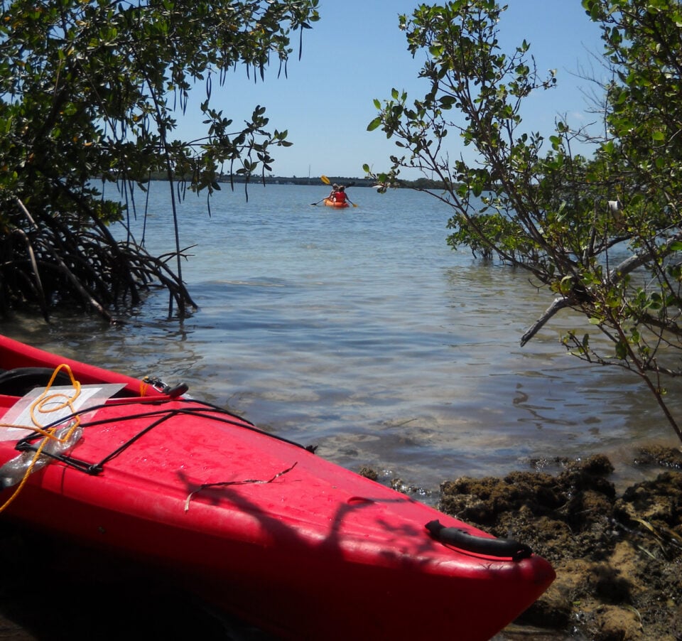 Best kayaking in South Florida: Our 10 favorite spots