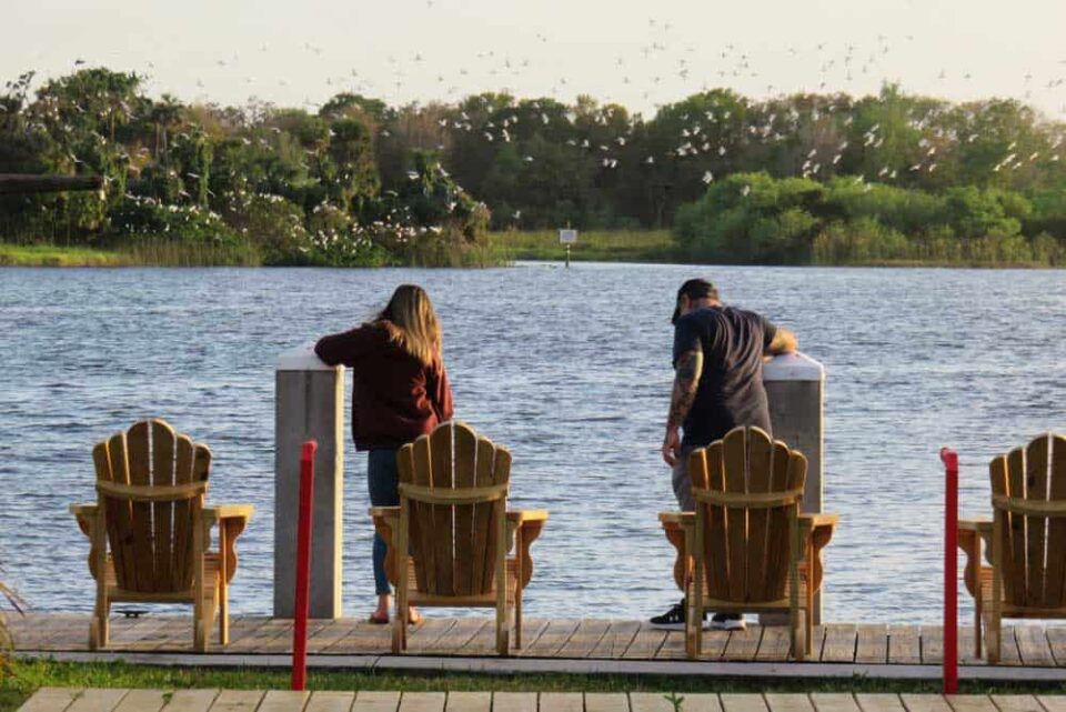 Braden River: Kayak from Jiggs Landing to Linger Lodge