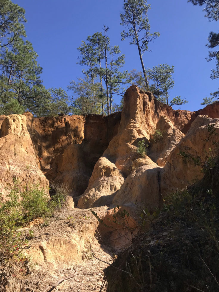 Milton FL: Great cabins, camping, glamping, kayaking & more