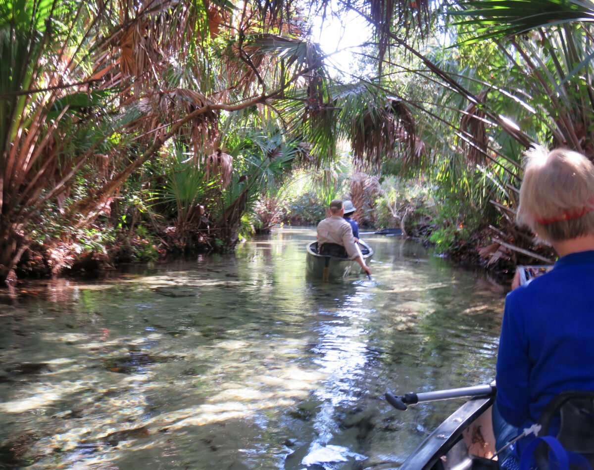 Juniper Springs: Florida's most pristine spring by kayak