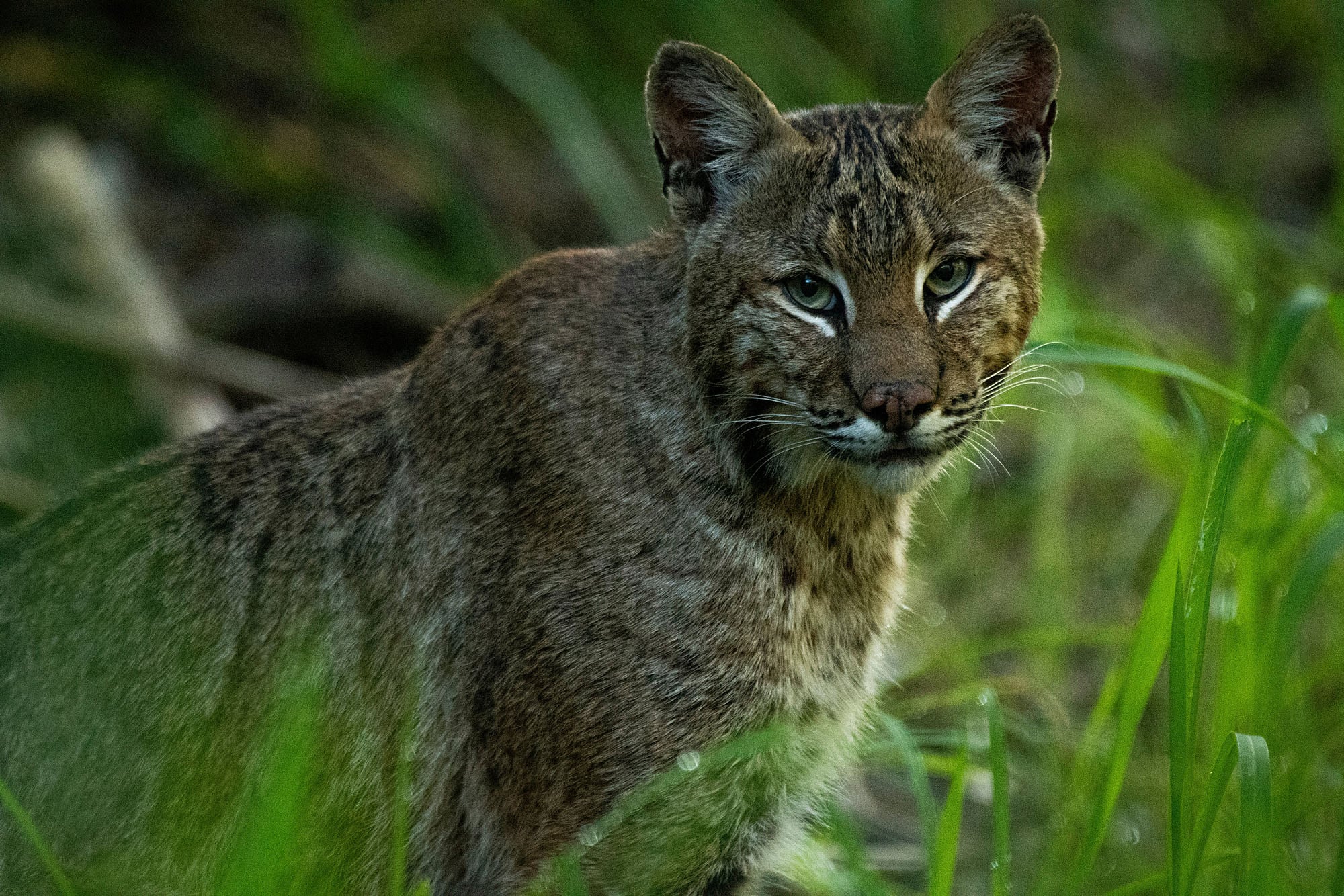 Florida State Parks photo contest winners | floridarambler.com