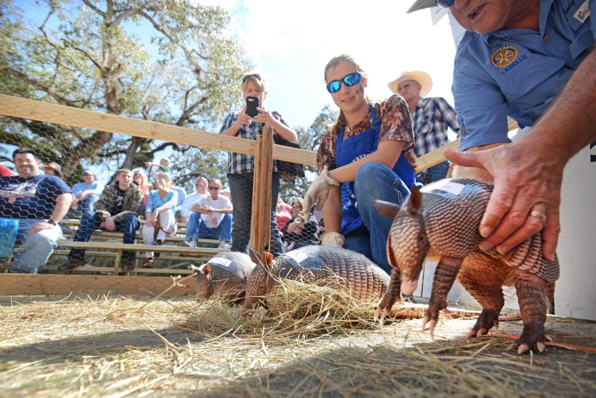 LaBelle Swamp Cabbage Festival: Feb. 21- 22, 2026