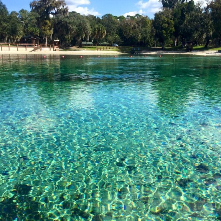 Lithia Springs: Camp at this cool, secluded park near Tampa