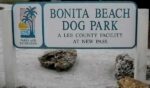 Dog-friendly beaches in Florida | FloridaRambler.com