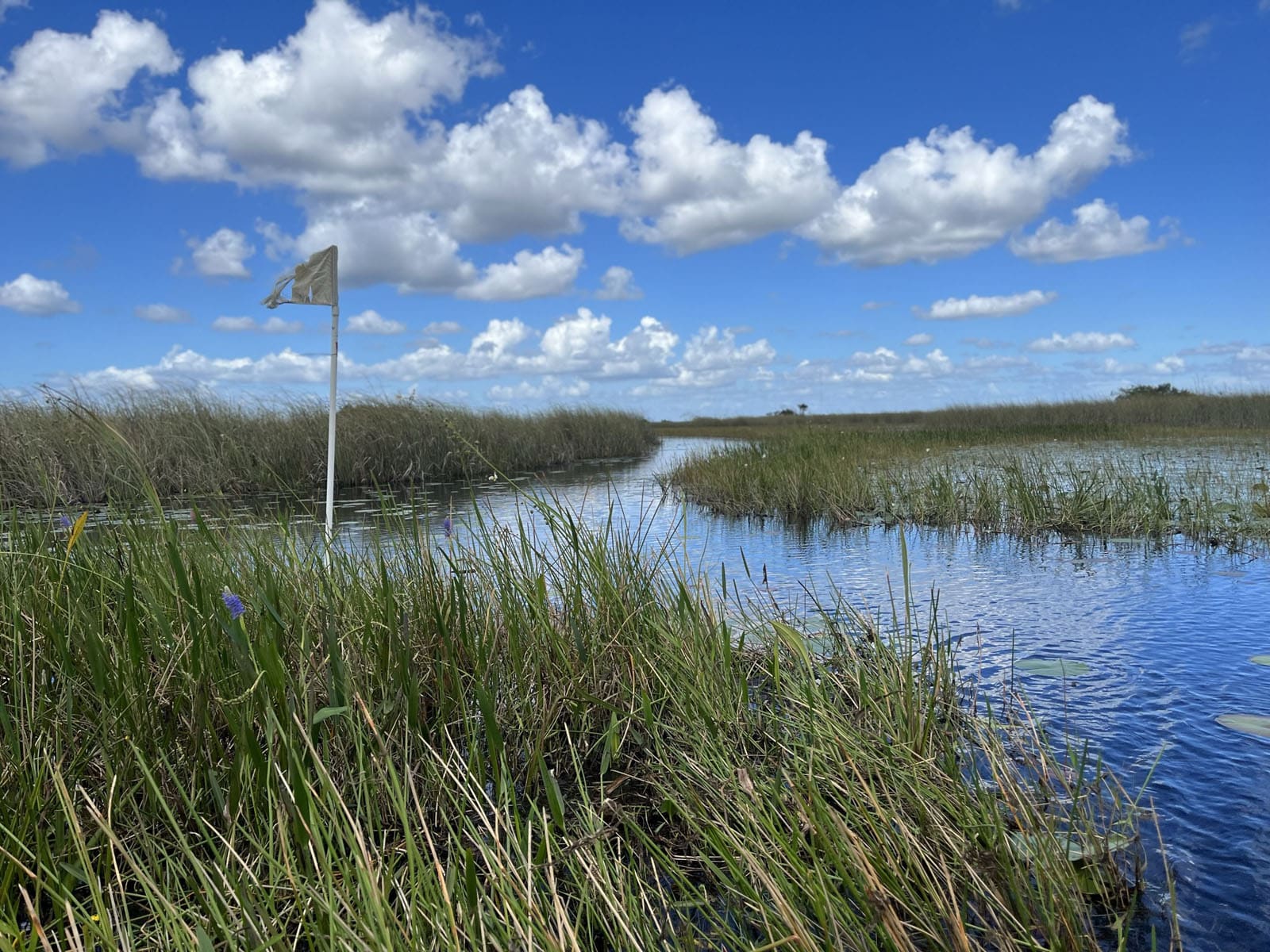 Loxahatchee National Wildlife Refuge: Wild spot to kayak, hike, bike