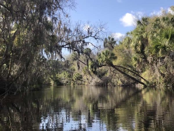 Upper Manatee River in Bradenton: Kayaking the wilder side