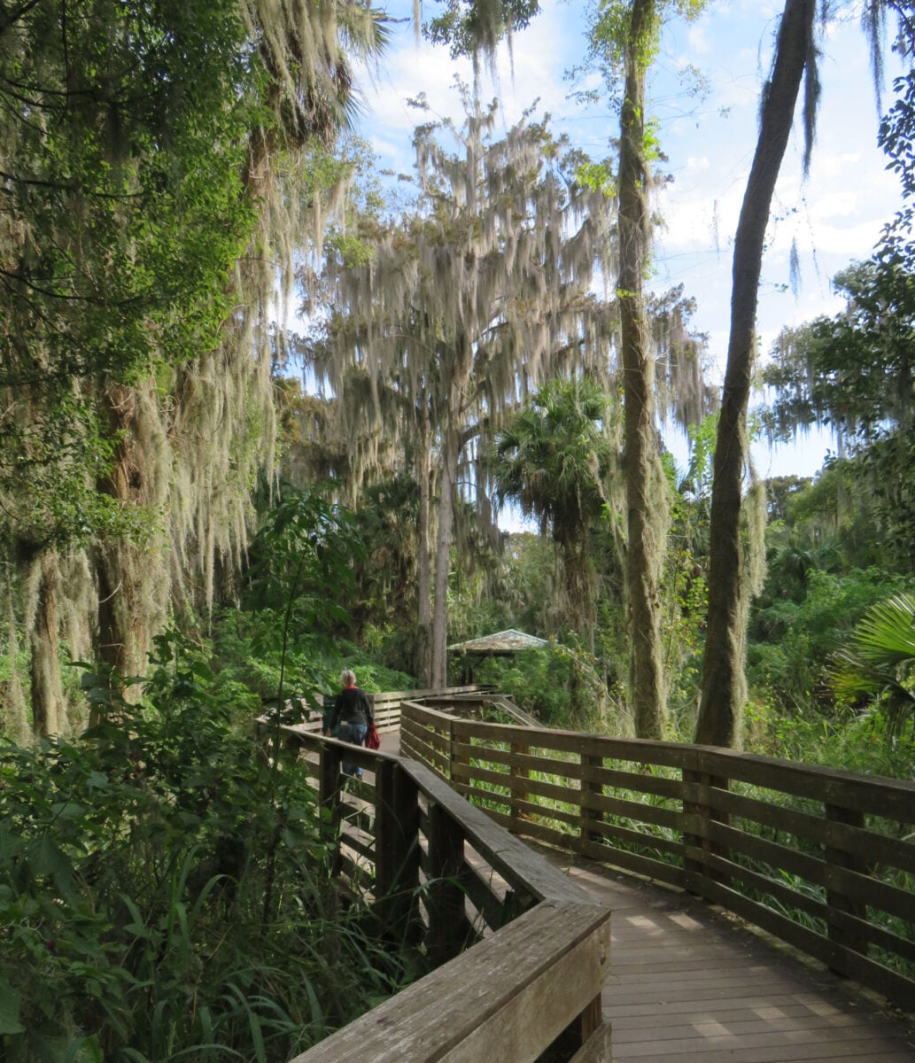 Mount Dora: 12 things I love about this delightful town