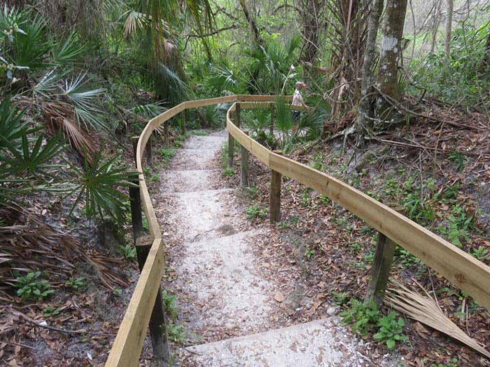 Upper Manatee River in Bradenton: Kayaking the wilder side