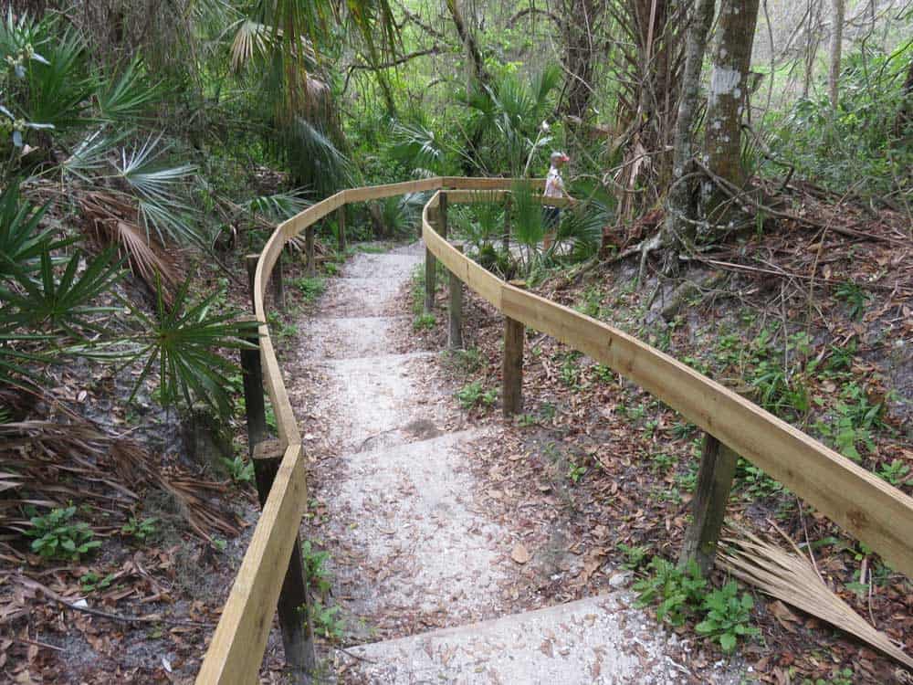 Upper Manatee River in Bradenton: Kayaking the wilder side