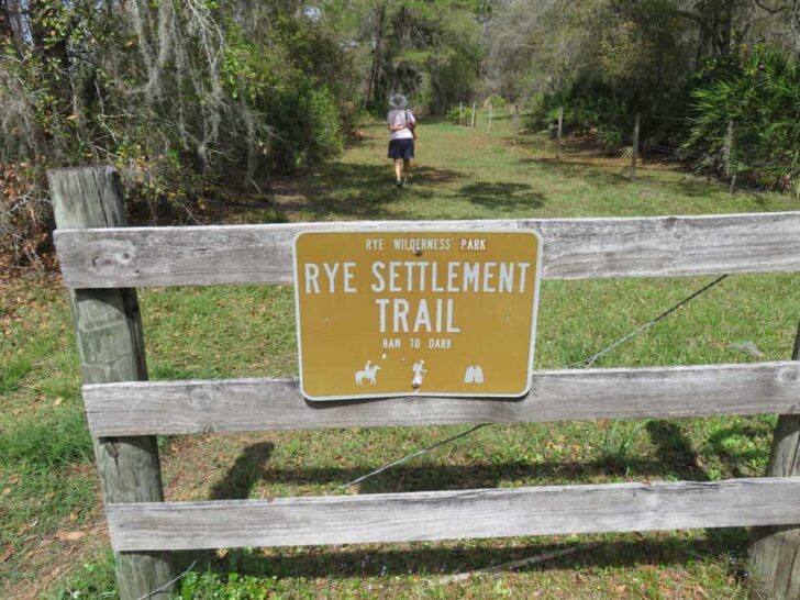 Upper Manatee River in Bradenton: Kayaking the wilder side
