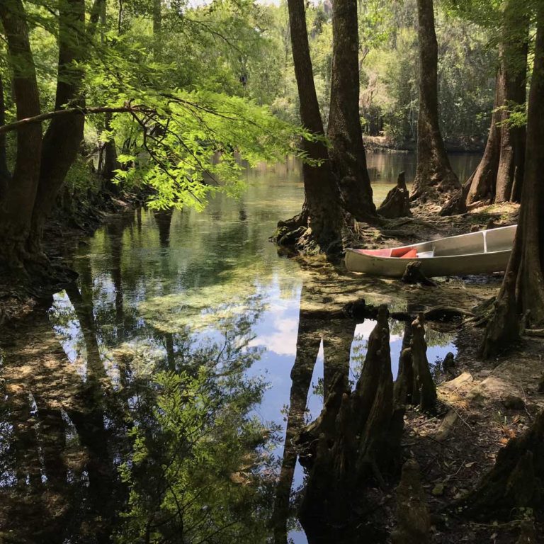 Best kayaking in Florida: Our 17 favorite kayak spots