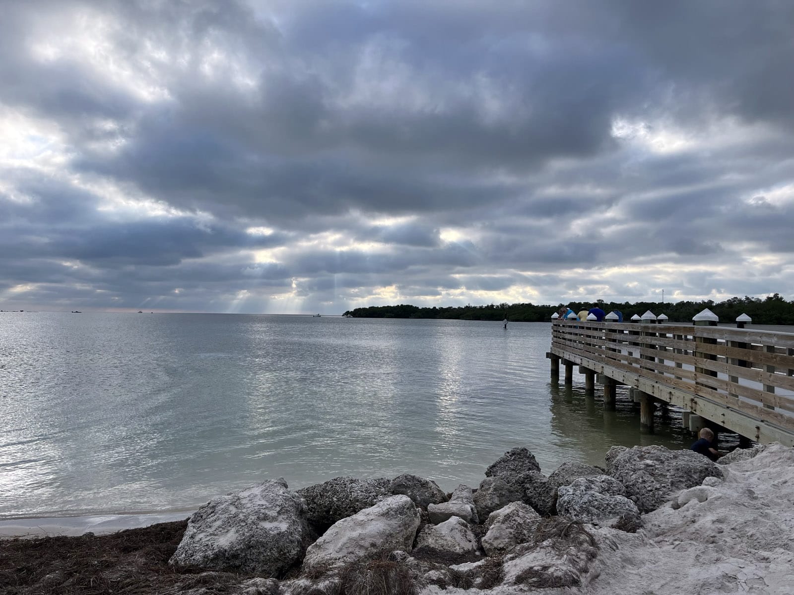Kayaking Marathon: Explore Boot Key's wild mangrove tunnels