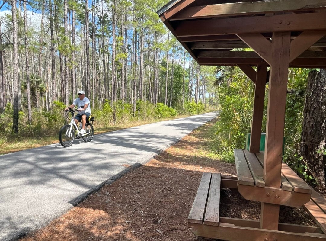 23 best Florida bike trails: Our favorites for scenic bicycling