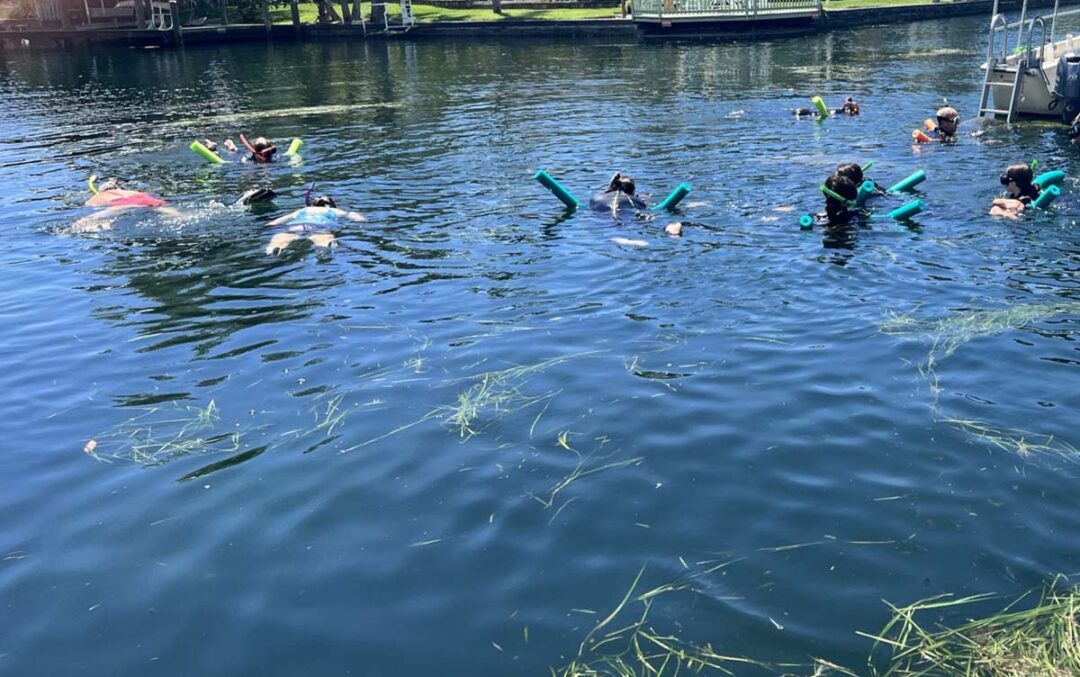 Crystal River is making a comeback, and the manatees are loving it