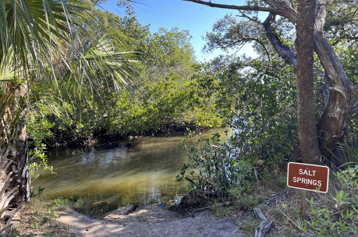 Werner-Boyce Salt Springs State Park: Kayak to stilt houses
