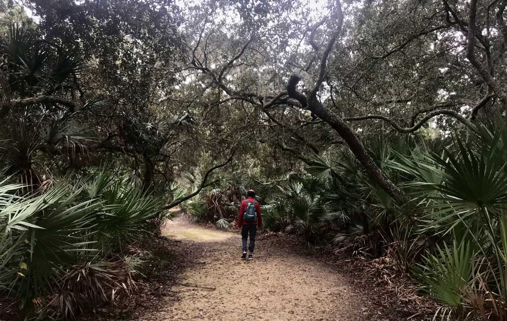 Florida A1A: Best part for superb views & intriguing history